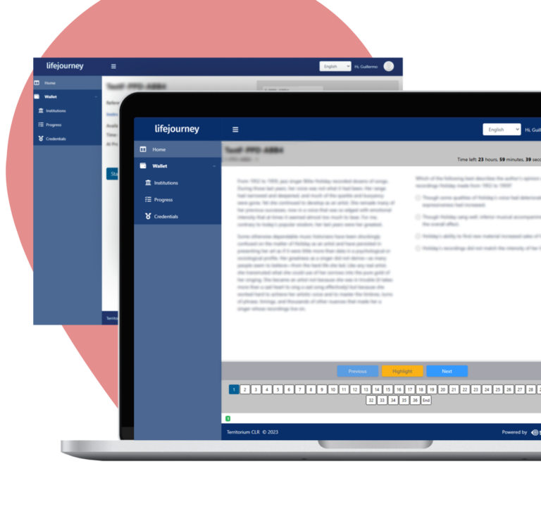 E-Proficiency Profile Assessment | Territorium